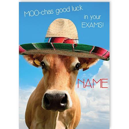 Mexican Cow Moo-chas Good Luck In Your Exams Card | Greeting Card ...